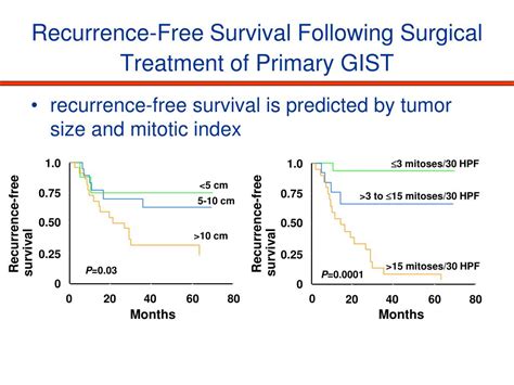 Ppt The Surgeons Role In The Management Of Gastrointestinal Stromal