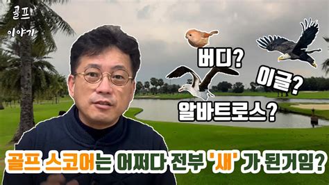 버디 이글 알바트로스 골프 스코어는 어쩌다 전부 새 이름이 되었을까 Youtube