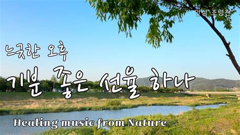 ☕ 커피 마시면서 듣기 좋은 음악 13 🎧 생각 없이 그냥 틀어놓으세요 Youtube