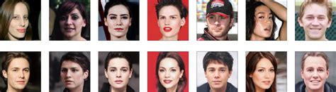 Stylegan Inversion On Images In The Support Set The Macro Structure Download Scientific