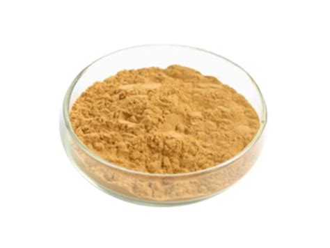 Mintchem Folic Acid Also Known As Vitamin B9 Suppliers Exporters Heaven