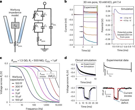Revolutionary Nanopore Sensor Can Detect Diseases From A Single
