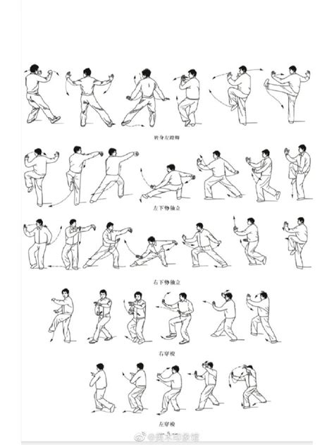 二十四式太极拳动作图解