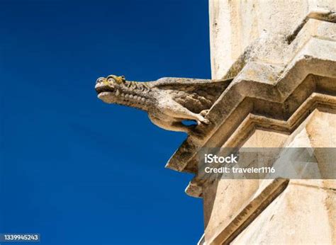 การ์กอยล์บนมหาวิหารเซนต์แมรีออฟบูร์โกส สเปน ภาพสต็อก ดาวน์โหลดรูปภาพตอนนี้ อาสนวิหารบูร์โกส