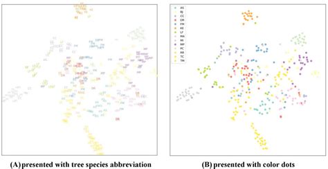 Two Dimensional T Distributed Stochastic Neighbor Embedding T Sne