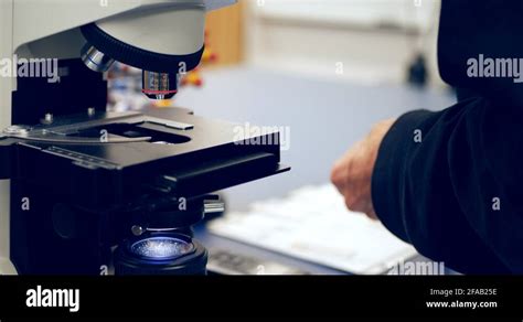 Pathology Slides Stock Videos Footage HD And K Video Clips Alamy
