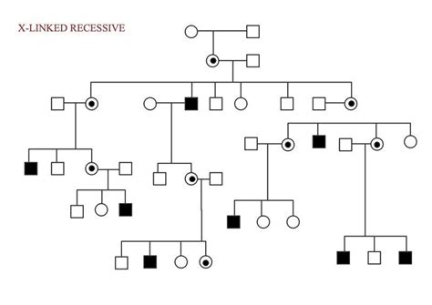 X Linked Recessive