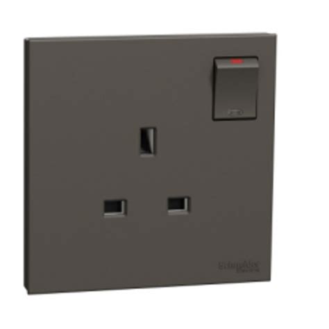 Schneider Electric Switched Socket Avataron C Basic Element With Complete Housing Led Ip20