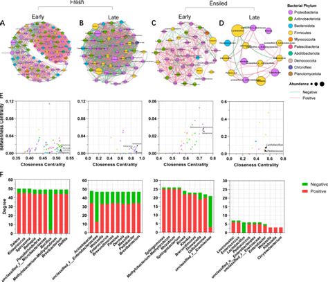 Dynamics Of Phyllosphere Microbiota And Chemical Parameters At Various Growth Stages And Their
