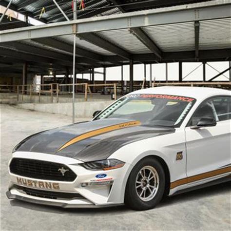 Mustang Cobra Jet Carbon Fiber Hood 18 23 M 16612 Aecj