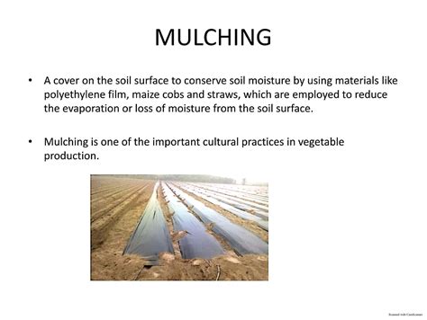 Solution Mulching Of Vegetable Crops Advantages And Disadvantages Of Mulching Importance Of