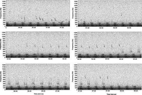 Spectrogram Showing A Complete Humpback Whale Song During April Download Scientific Diagram