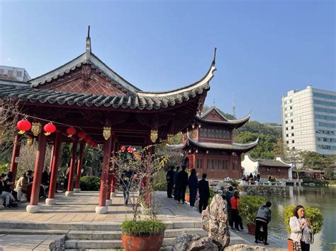 2024黎明湖公园游玩攻略 目前一条连通黎明湖公园和乌 去哪儿攻略