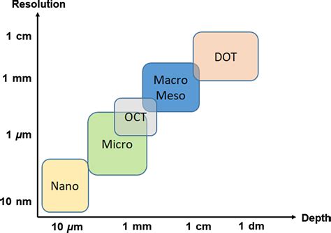Spatial Frequency Domain Imaging In 2019 Principles Applications And Perspectives