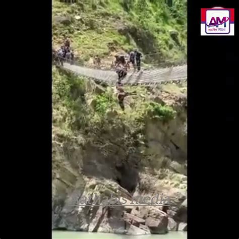 झोलुंगे पुलमा फसेका खच्चडहरुको यसरी गरियो उद्धार । २ खच्चड बचाउँन सकिएन