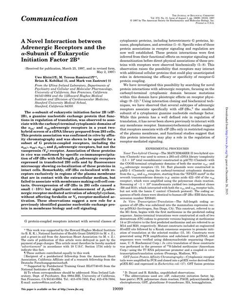 Pdf A Novel Interaction Between Adrenergic Receptors And The Subunit Of Eukaryotic Initiation