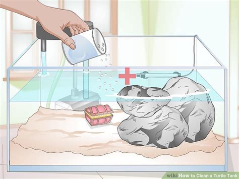 3 Ways To Clean A Turtle Tank WikiHow