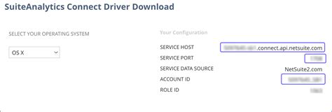 NetSuite SuiteAnalytics Hevo Data