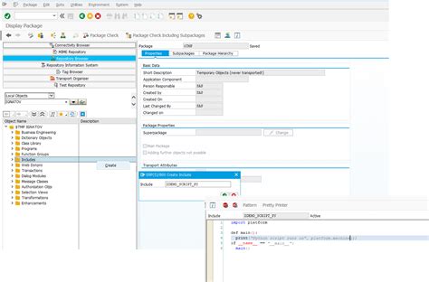 How To Run A Python Script From Abap