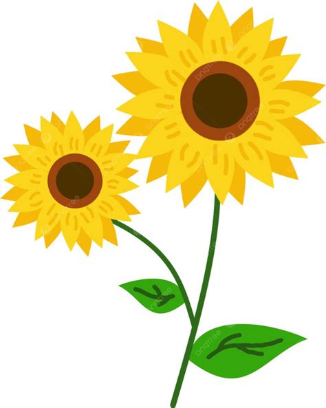 Hermoso Girasol Png Dibujos Girasol Flor Corona De Flores Png Y