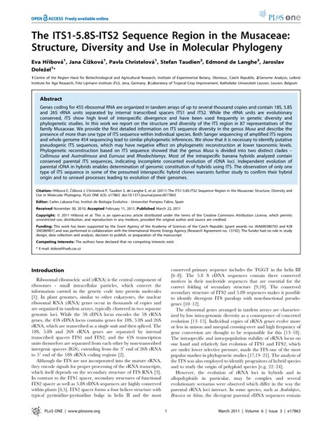 pdf the its1 5 8s its2 sequence region in the musaceae structure