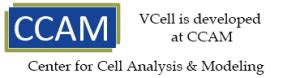 VCell Modeling Analysis Software Virtual Cell Modeling Analysis Software