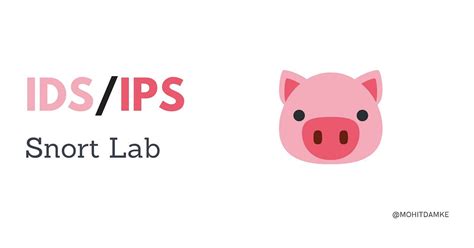 Malware Analysis Building Lab Static And Dynamic By Mohit Damke By Mohit Damke Medium