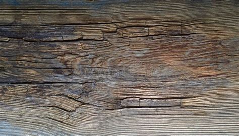 Cracked Weathered Wood Timber Background Stock Image Image Of Tree