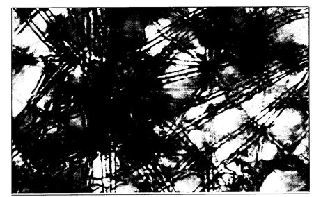 Method For Preparing Pseudorabies Virus Eureka Patsnap