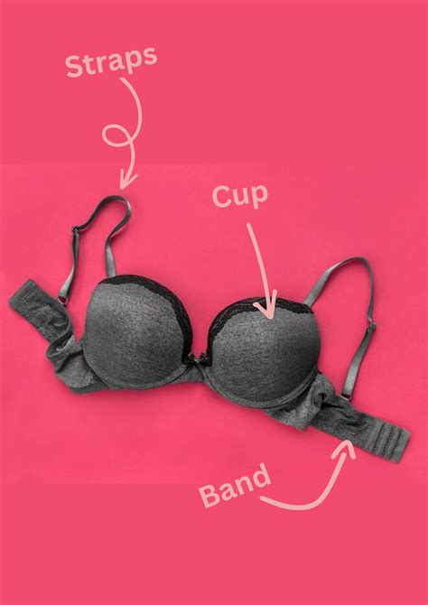 How To Check Your Own Bra Size At Home Vainilky