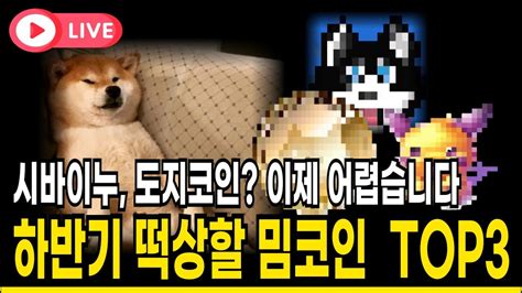 상승하길 거부하는 시바이누 도지코인 하반기에는 다른 코인 보셔야합니다 Youtube
