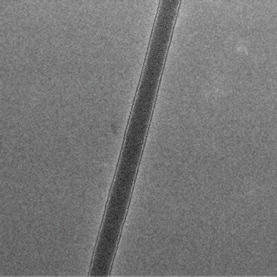 TEM Images Of A SiO2 PAA 0 5 B SiO2 PAA 0 75 C SiO2 PAA 1 Nanofiber