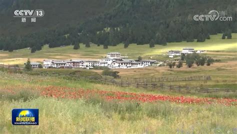走向我们的小康生活丨保护良好生态 铺就幸福小康路 天山网 新疆新闻门户