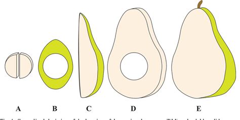 Figure 1 From Postharvest Dry Matter And Soluble Solids Content Prediction In Danjou And