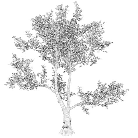 Artstation London Plane Tree 09 High Poly Tree 3d Model Game Assets