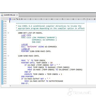 什麼是IBM COBOLIBM開發