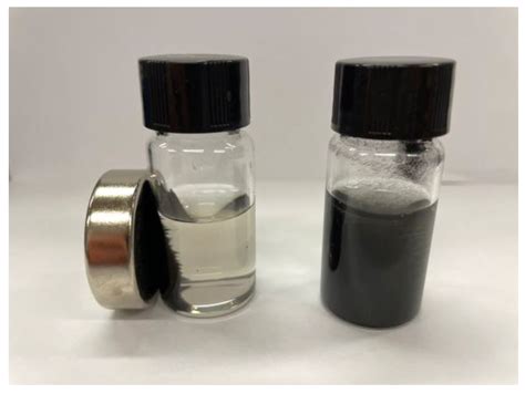 Immobilization Of Naringinase Onto Polydopamine Coated Magnetic Iron