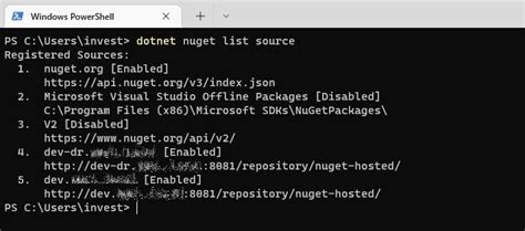[nuget] dotnet restore error 401 naiwaen debuggingsoft