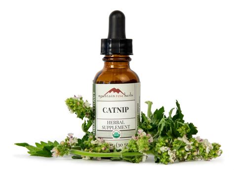 Catnip Extract