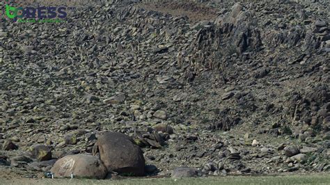 Чойрын богд уул