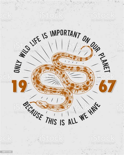 바이퍼의 뱀 코브라 뱀 Python 아나콘다 또는 바이퍼 로얄 오래 된 스케치 스티커 그리고 문신에 대 한 빈티지 스타일에 새겨진된 핸드 뱀 하 고 Asp입니다 T셔츠 인쇄