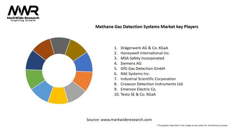 Methane Gas Detection Systems Market Analysis Industry Size Share