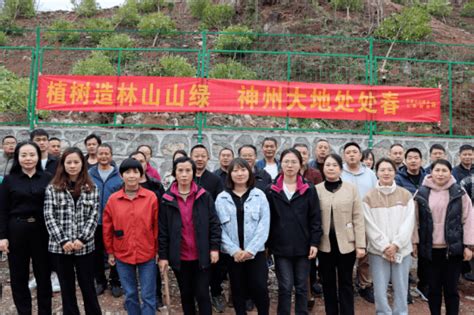 植树造林山山绿 神州大地处处春洪家关白族乡开展义务植树活动 新绿 积极行动 人人