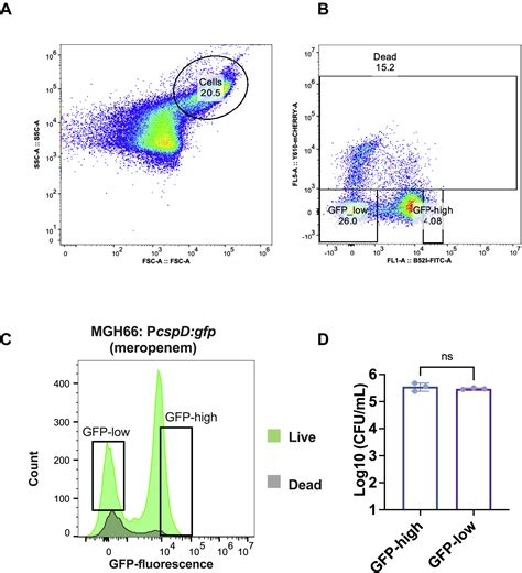 Bacterial Droplet Based Single Cell Rna Seq Reveals Antibiotic Associated Heterogeneous Cellular