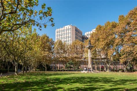 同济大学校园金秋风景美如画 人民图片网