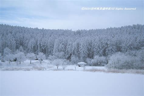 霧氷三昧その4 信州風景歳時記