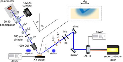 Schematics Of The Polarization Imaging Setup The Illumination Arm