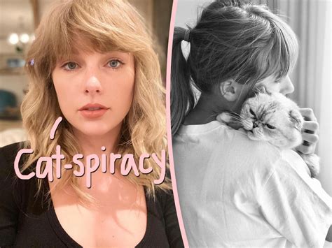 Taylor Swift Hilariously Responds To Fans Wondering Where Her Cat Meredith Is Perez Hilton