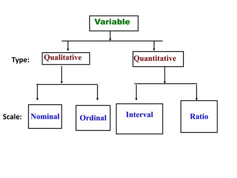 Biostatistics Lec Variables And Scales Of Measurement PPTX