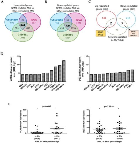 Identification Of The Emt Related Genes In Npm1 Mutated Aml A Venn Download Scientific